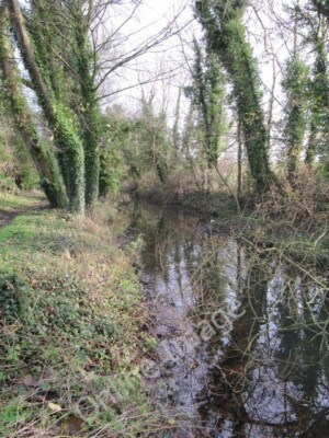 Photo 6x4 Canal near East Challow Wantage View along part of the canal ...
