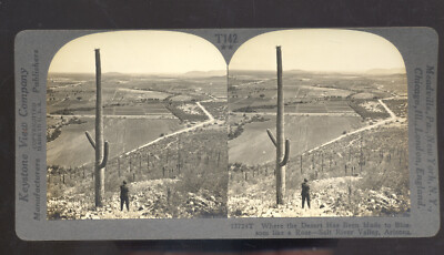REAL PHOTO SALT RIVER VALLEY ARIZONA DESERT SAURAGO CACT VINTAGE ...