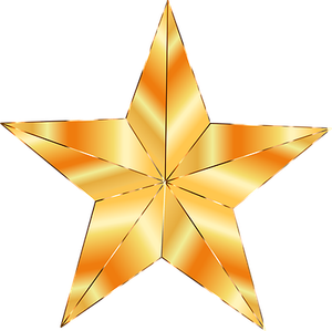 Golden Star JPN | eBay Stores