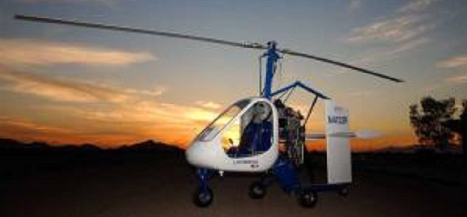 AAI Sparrowhawk Two Seat Homebuilt Ultralight Autogyro Wood Model Large ...