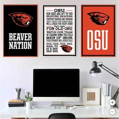 Oregon State Beavers Wall Art Orange Black NCAA 3-Piece Adhesive Canvas ...