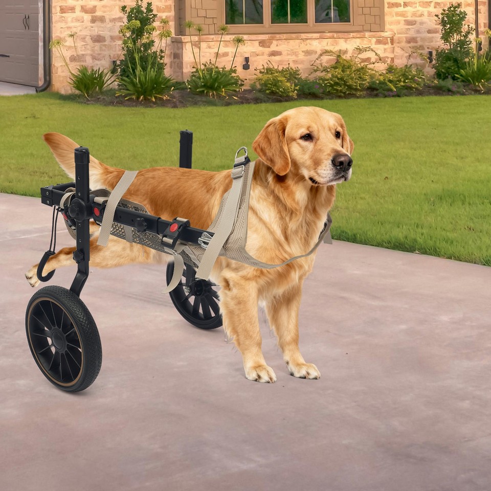 Floorstand Pet Rehabilitation Walking Aid 2-wheel Dog Wheelchairs For ...