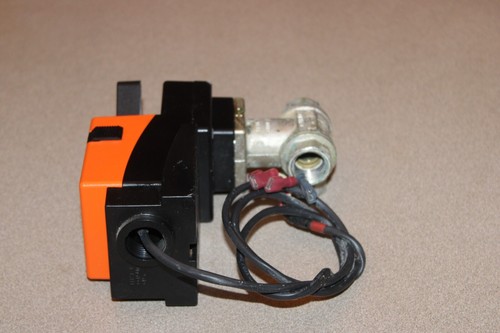 BELIMO LR24-SR 2.0 / LR24SR20 w/Brass Valve | eBay