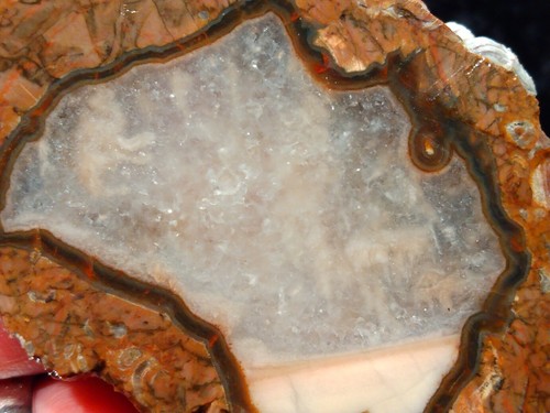 Baker Ranch Thunderegg Agate Rough Slab | eBay