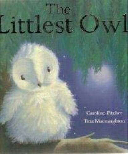 The Littlest Owl - Hardcover By Caroline Pitcher - VERY GOOD | eBay