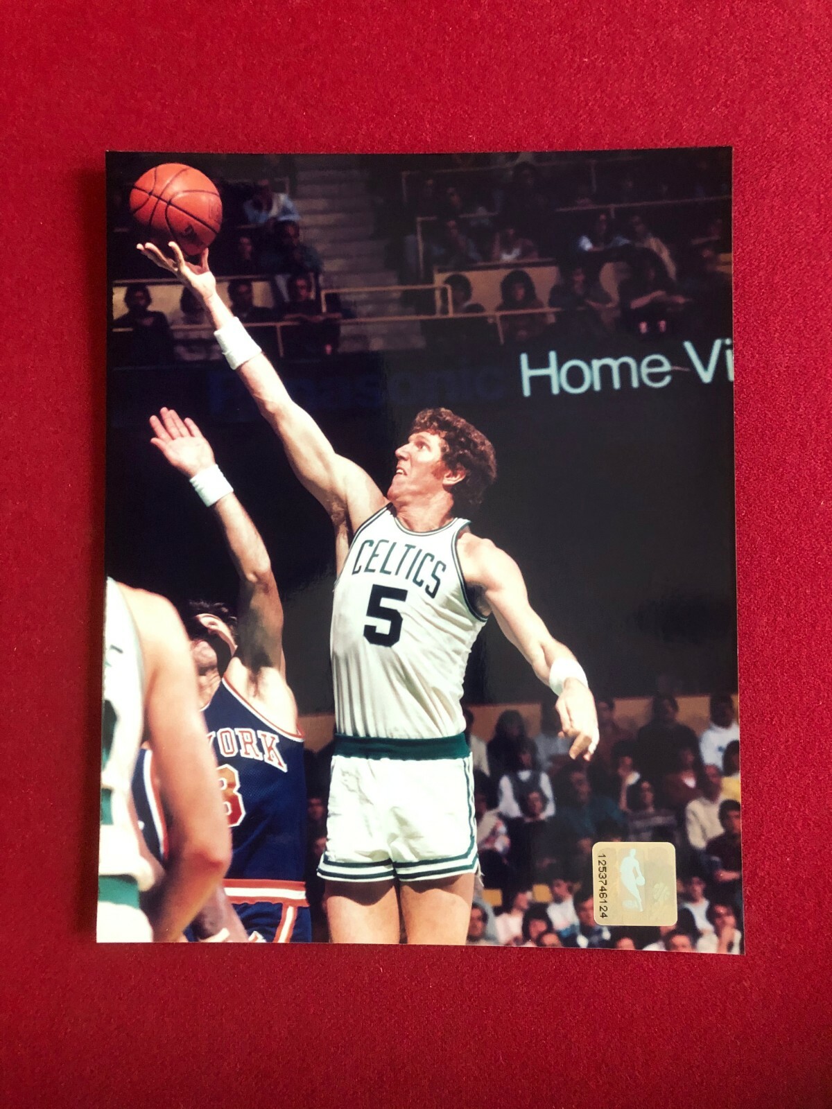 Bill Walton (Celtics), Licensed, Photo File 8" x 10" Color photo ...