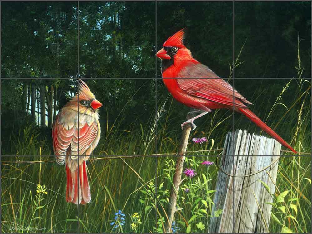 Cardinal Tile Backsplash Mike Brown Wildlife Bird Art Ceramic Mural ...