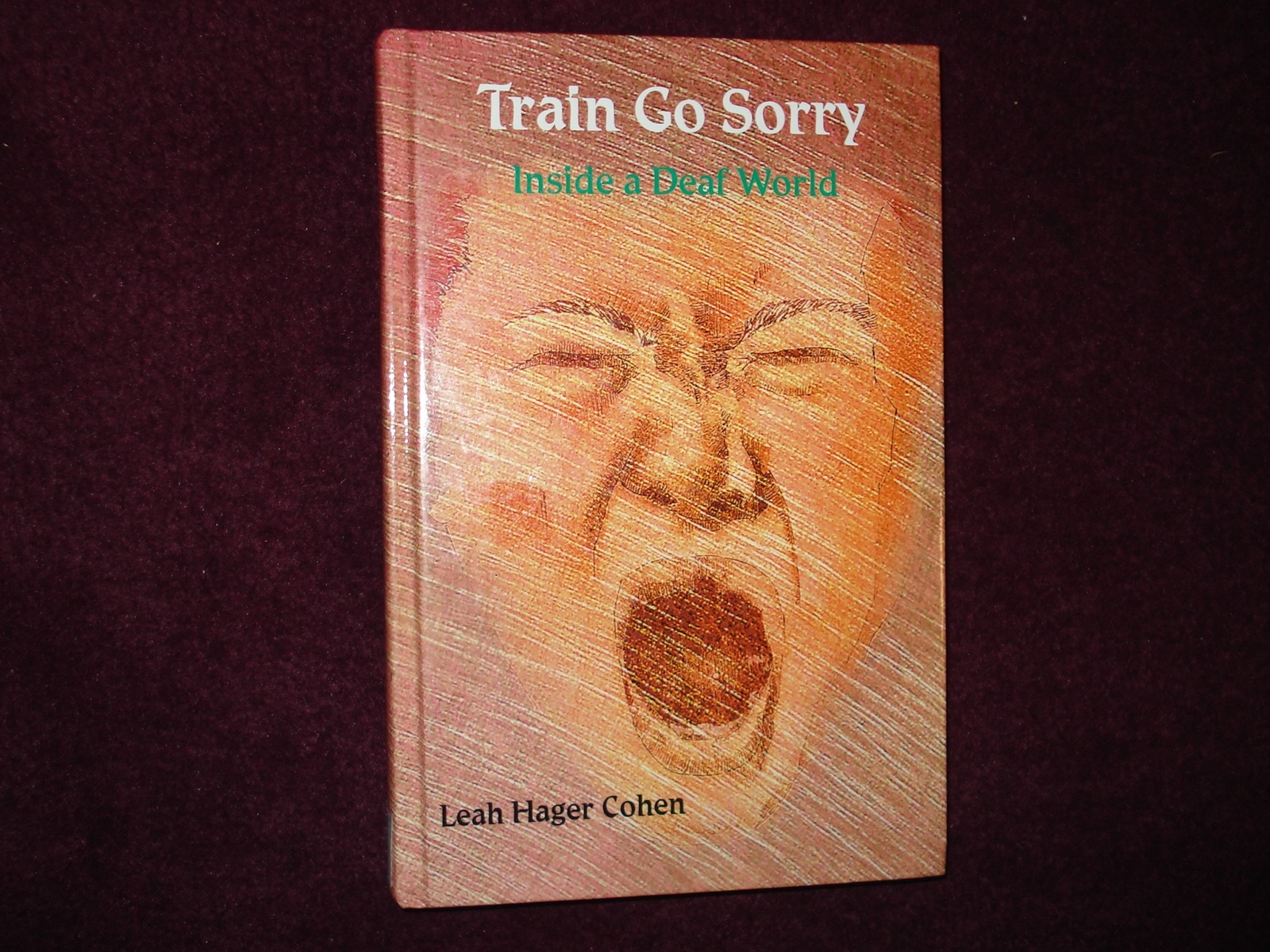 Cohen, Leah Hager. Train Go Sorry. Inside a Deaf World. 1999. Very ...