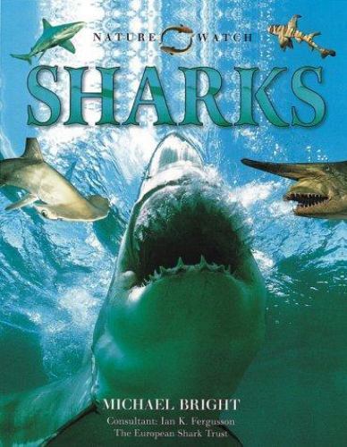 Sharks by Michael Bright (2000, Hardcover) for sale online | eBay