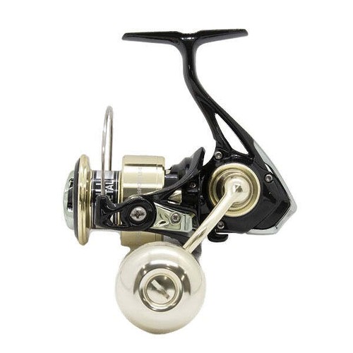 Sports Line GT BG2500-XH ARK | eBay