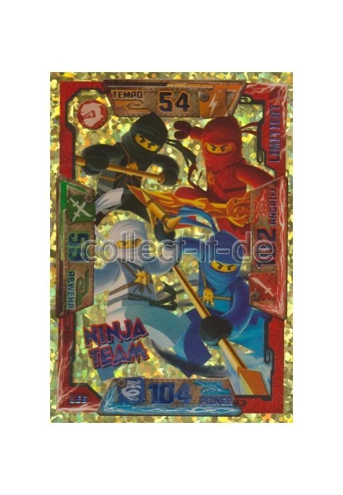 Ninjago Ninja Team