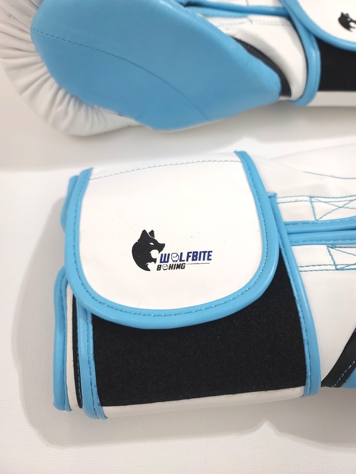 Hajime No Ippo Anime Hook & Loop Boxing Gloves Fighting Spirit First ...