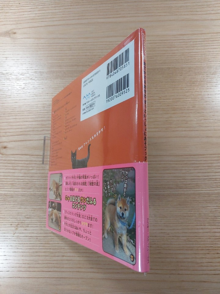 Nintendogs Cats Outing Sewa Always Play Together 3DS Strategy ...