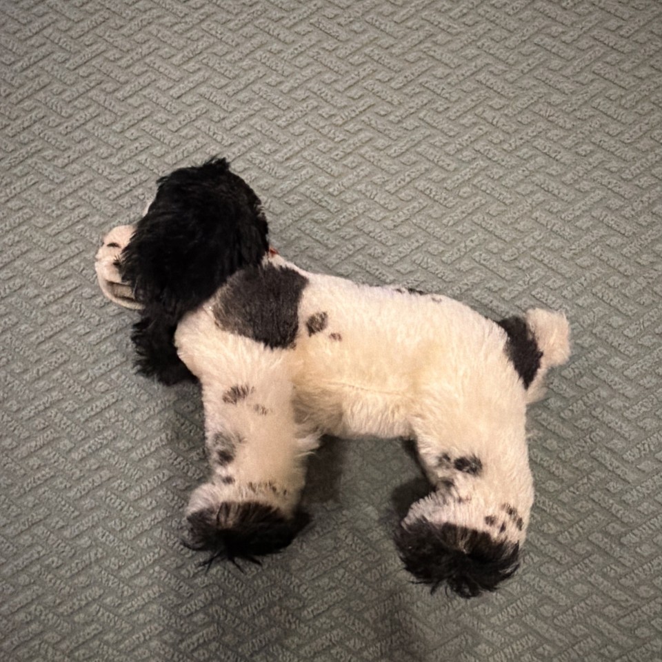 Steiff Cocker Spaniel 1960 To 19 64 12 Cm Number 1312, 06 | eBay