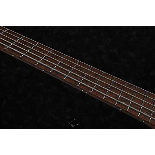 Ibanez EHB1005 MS Black Flat Headless 5 String Electric Bass Multi ...