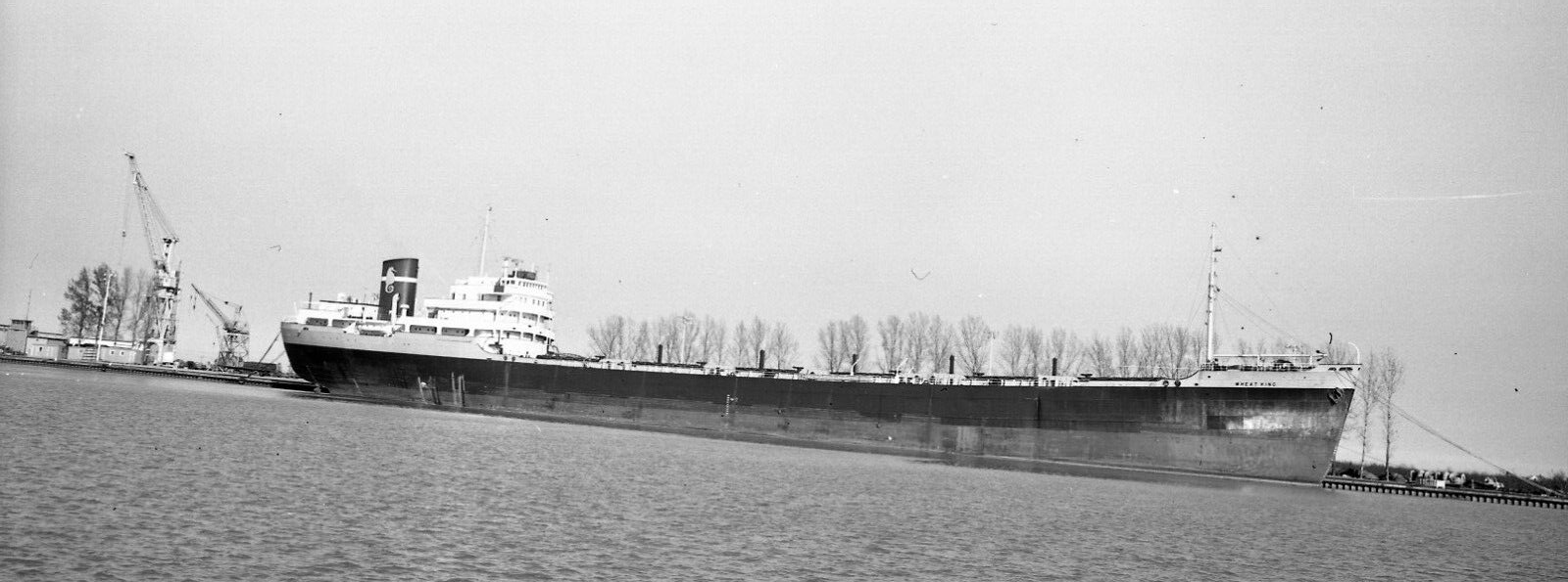 1962 NEGATIVE M.V. "Wheat King" Ship Boat Seaway Line Port Weller ...
