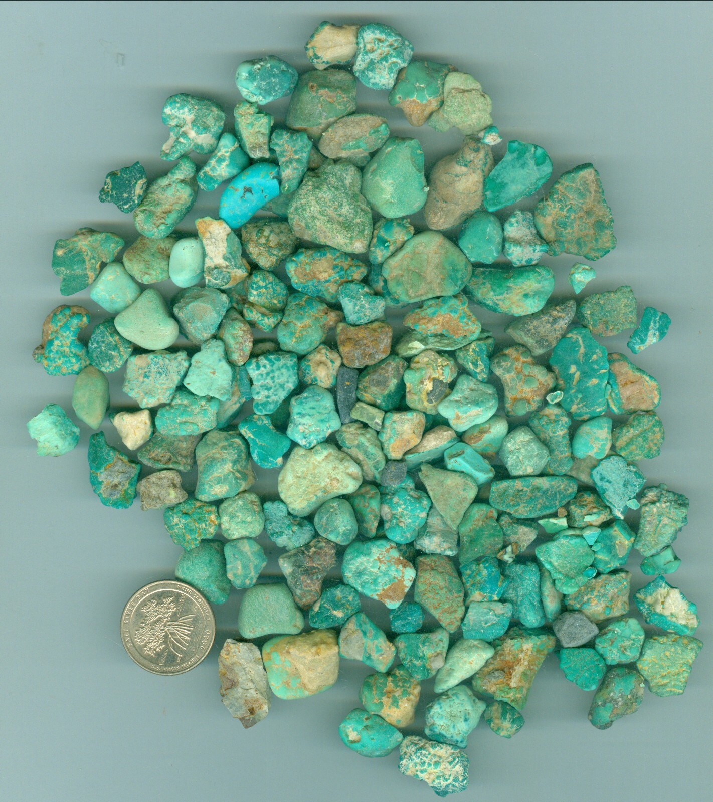 Stabilized American Turquoise Rough Fox Mine Stabilized Turquoise rough ...