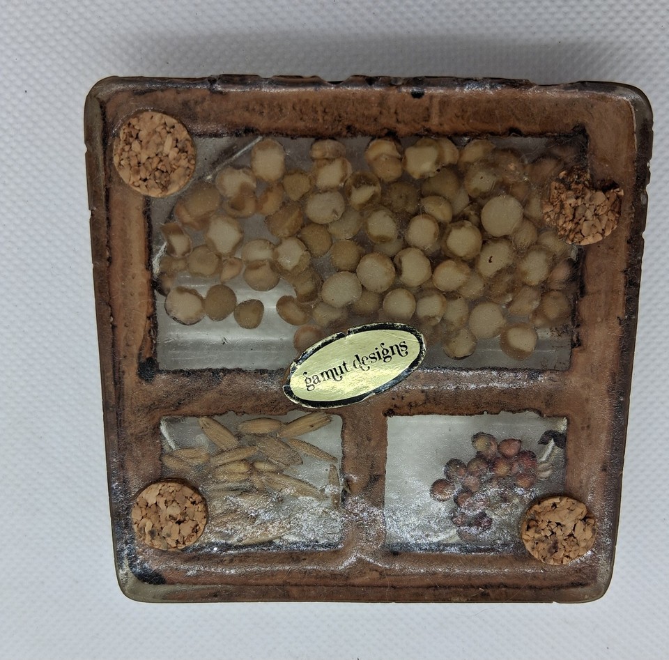 Gamut Designs Lucite Acrylic Resin Dried Seeds Coaster MCM | eBay