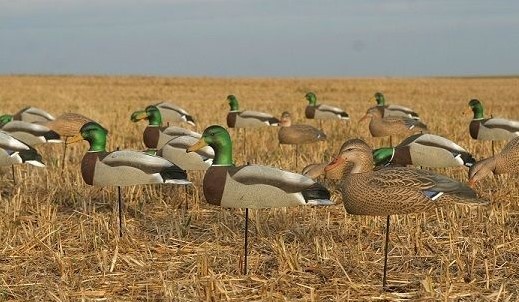 12 Avery Greenhead Gear Universal Motion Stakes Goose Duck Shell Decoys ...