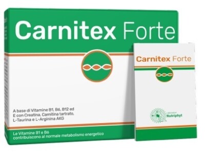 CARNITEX FORTE 14BUST | eBay