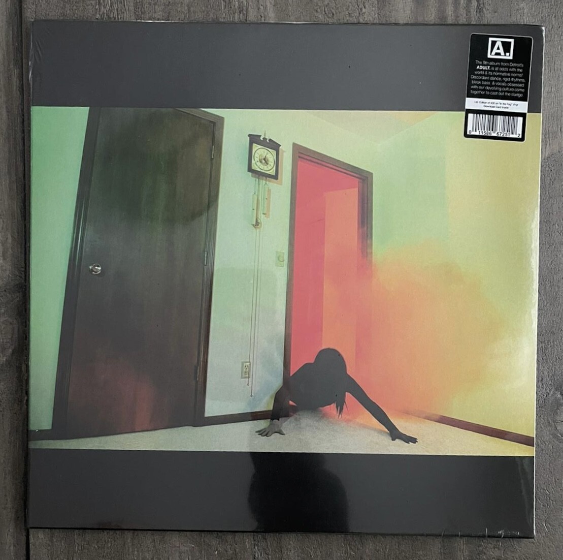 ADULT. – Becoming Undone Vinyl 11586672512 | eBay