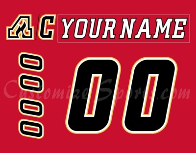 Calgary Flames Customized Number Kit For 2003-2007 Home Uniform | eBay