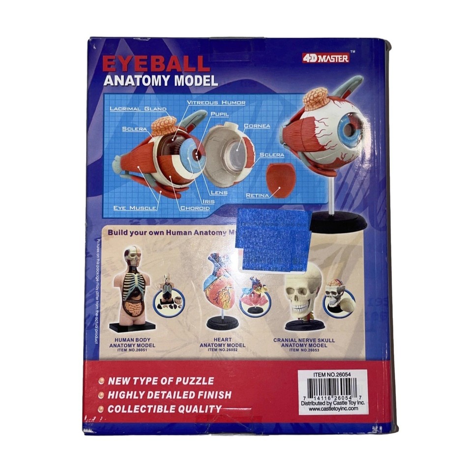 2005 Sealed 4d Human Anatomy Eyeball 4D Puzzle Model (NEW) 35 PCS ...