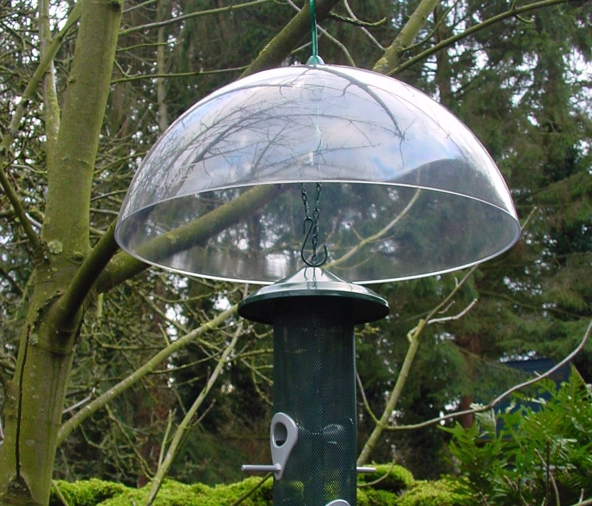 Squirrel Guards For Trees Cone Squirrel Baffle At Backyard Wild Birds