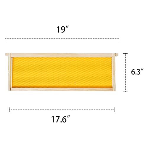 MayBee Hives-Medium Super Beehive 10 Count (Pack of 1), Yellow ...