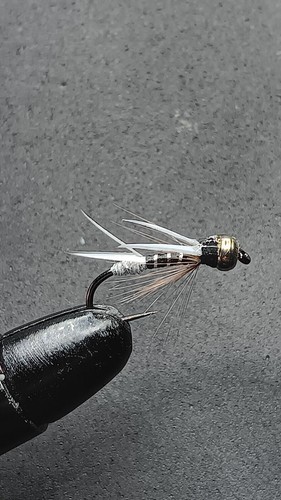 6 TUNGSTEN HEAD SILVER AND BLACK PRINCE NYMPHS FOR FLY FISHING -PRINCE ...