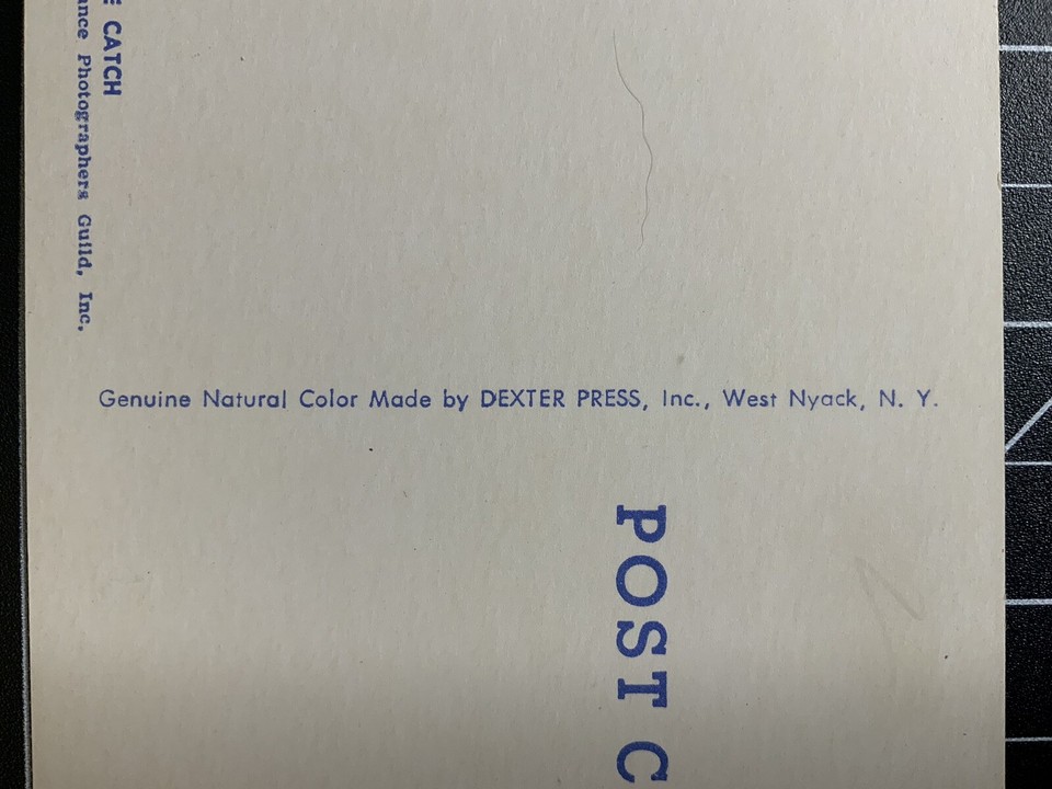 A Nice Catch Fishing Pin-up girl Free Lance Photographers Vintage ...