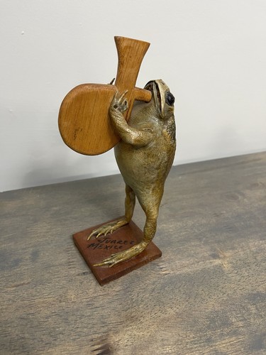 MEXICAN FOLK ART Taxidermy Frog Toad Playing Horn Musical Instrument | eBay