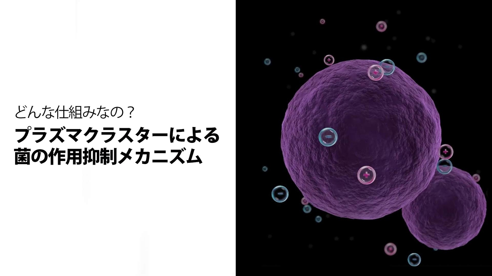 Sharp Plasmacluster Ion Generator Multipurpose 1 Tatami White IG-EX20-W | eBay