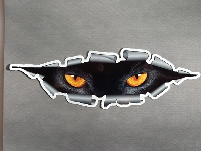9" x 3" Cat Eyes Vinyl Decal Sticker | eBay