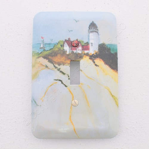 Leviton 1-Gang Lighthouse Wall Plate Switch Metal Cover Switchplate ...