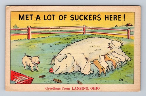 Lansing OH-Ohio, General Greetings, Humorous, Pigs, Vintage c1944 ...