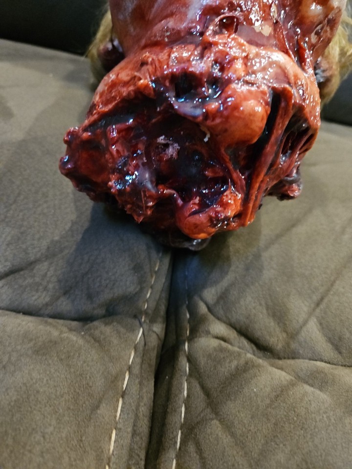 Extremely rare , Gory Life-like Severed Human Head By Ghostride ...