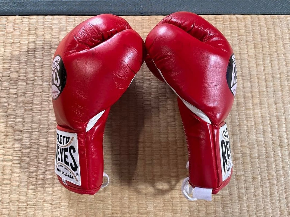 CLETO REYES Professional Boxing Gloves Red 8oz | eBay