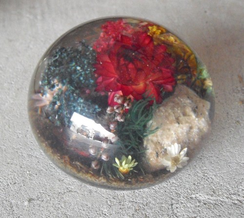 Tarax Infinity Red Flower Rocks Sand Domed Lucite Paperweight 2 1/4 ...
