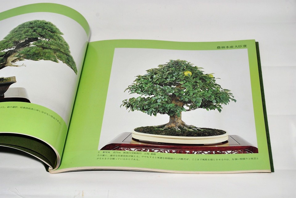 12th Japan Bonsai Professional Exhibition Catalog - NIPPON BONSAI ...