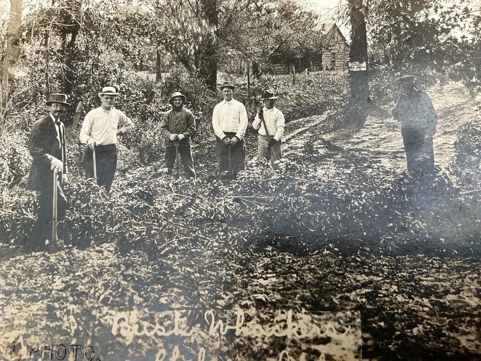 RPPC of Bush Whacking, Chelsea, Ok, Tranah Photo, Azo Stamp Box unsed ...
