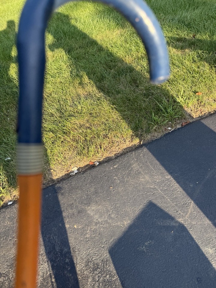 LOT OF ANTIQUE WALKING CANES& -1939 WORLDS FAIR CANE ALSO- WILL COST TO ...