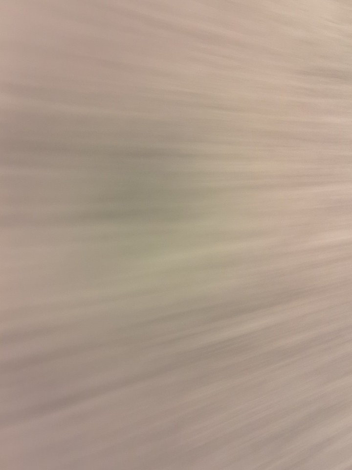 Floral Blooming Blouse Women Sz L Black Open Lacework 3/4 Sleeve Button ...