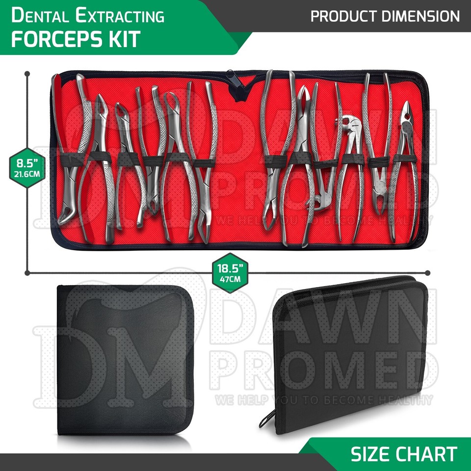 12 Pcs Dental Extracting Forceps Tooth Extraction Instruments Kit Set ...