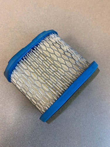 New Briggs & Stratton Genuine Air Filter 697029-S 697029S NOS | eBay