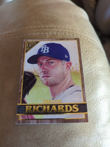 2020 Topps Gallery Trevor Richards Wood Tampa Bay Rays #126 | eBay