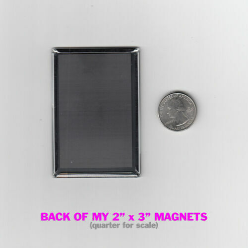 MISS AMERICAN VAMPIRE CONTEST - 2" x 3" POSTER MAGNET (goth 70s retro ...