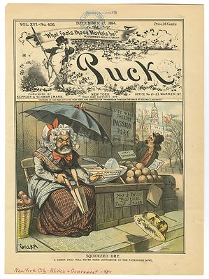 Puck Magazine Cover - Vintage December 17, 1884 - Politics and ...