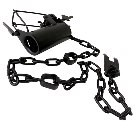 NO-BS Dog Proof Raccoon Trap - Coon Trapping - Coated DPs with Stake ...