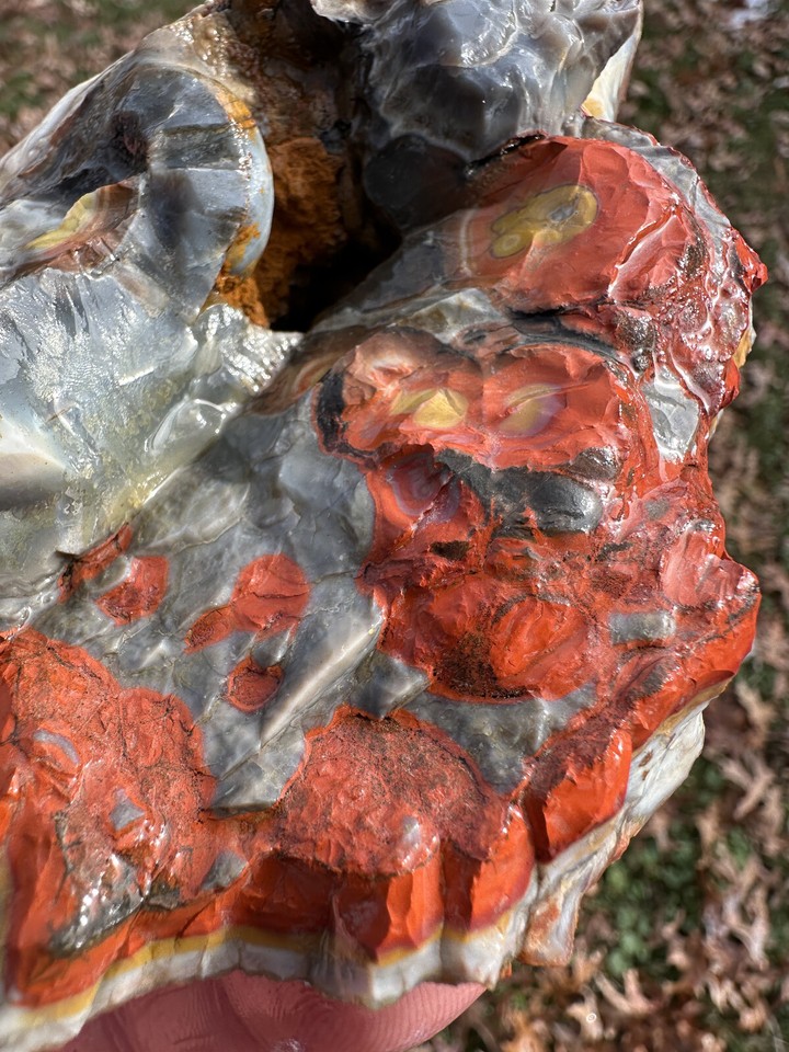 Large Natural Rare Kentucky Agate Rough from Estill County | eBay